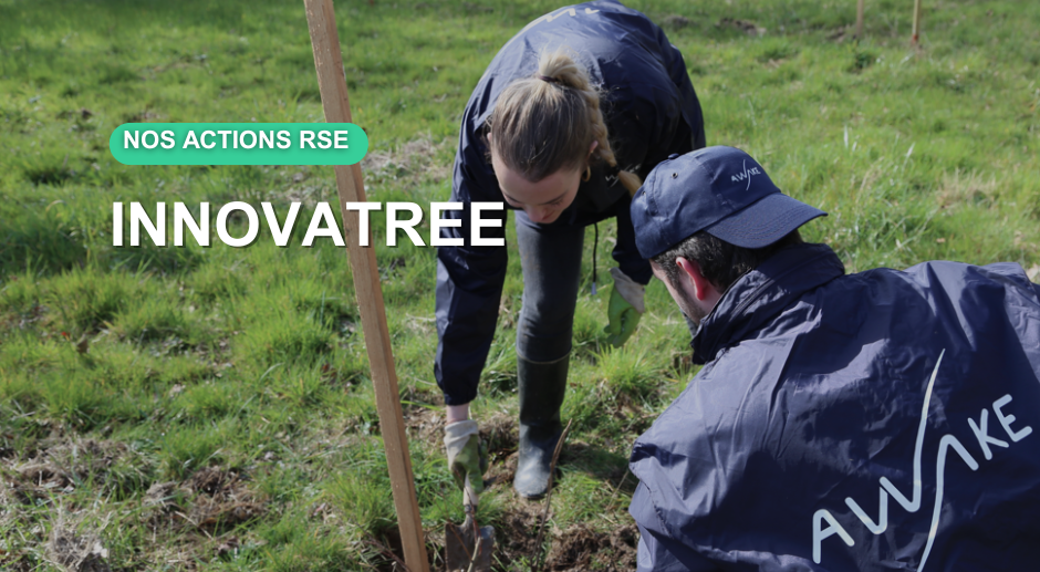 InnovaTree 🌳 | Innovateam